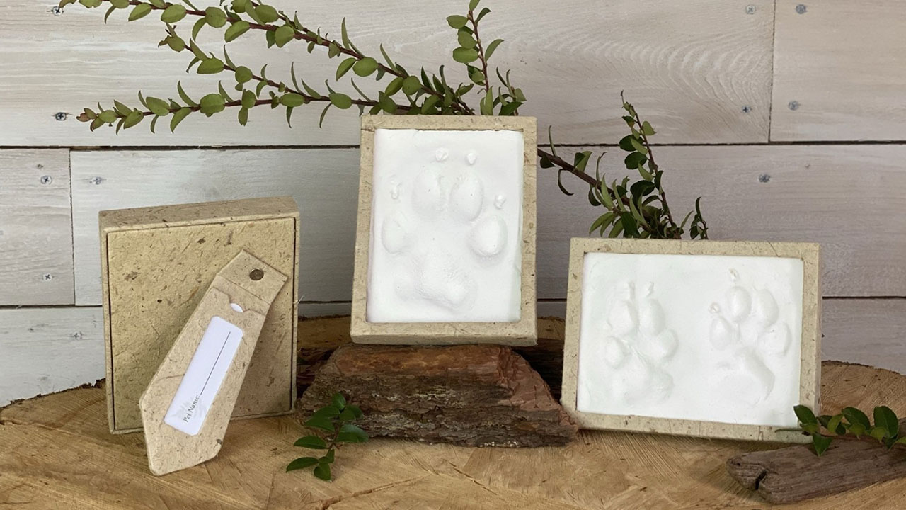 peacefulmemories.com: Large Pet Impressions Kit